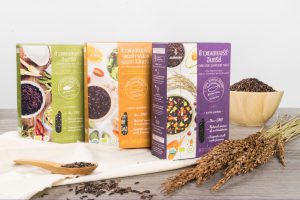 Bearhouse - YindeeDesign